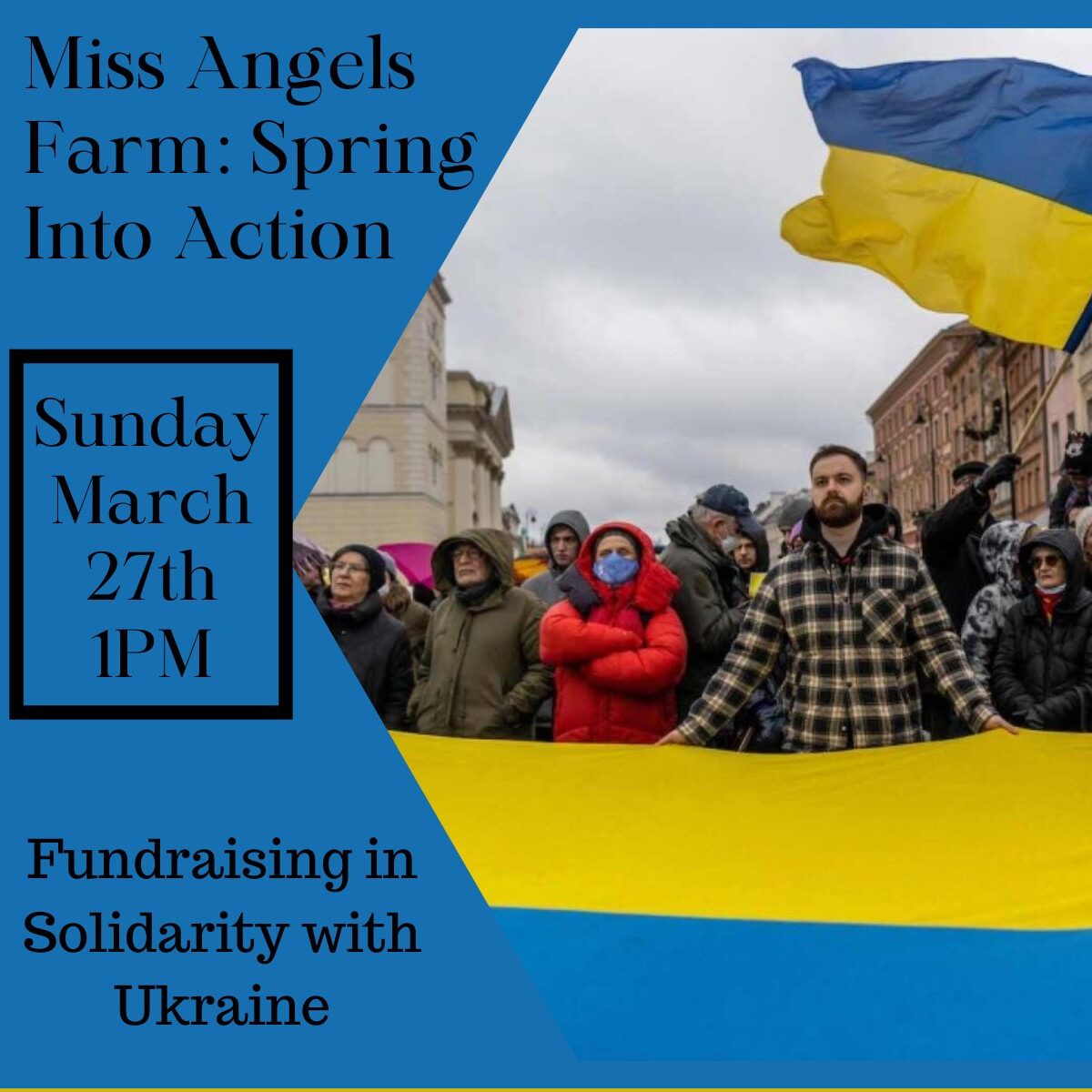 Spring Into Action at Miss Angels Farm & Orchard LLC - Miss Angel's ...