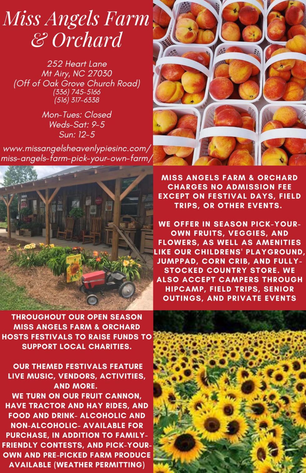 Miss Angel's Farm & Orchard LLC - Mount Airy, NC - Family Events & Pick ...